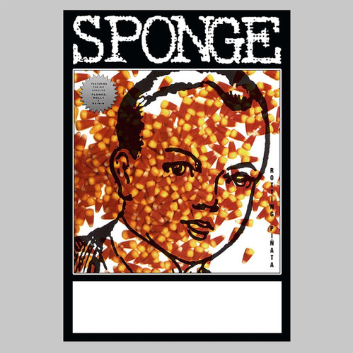 Rotting Pinata Poster | Sponge