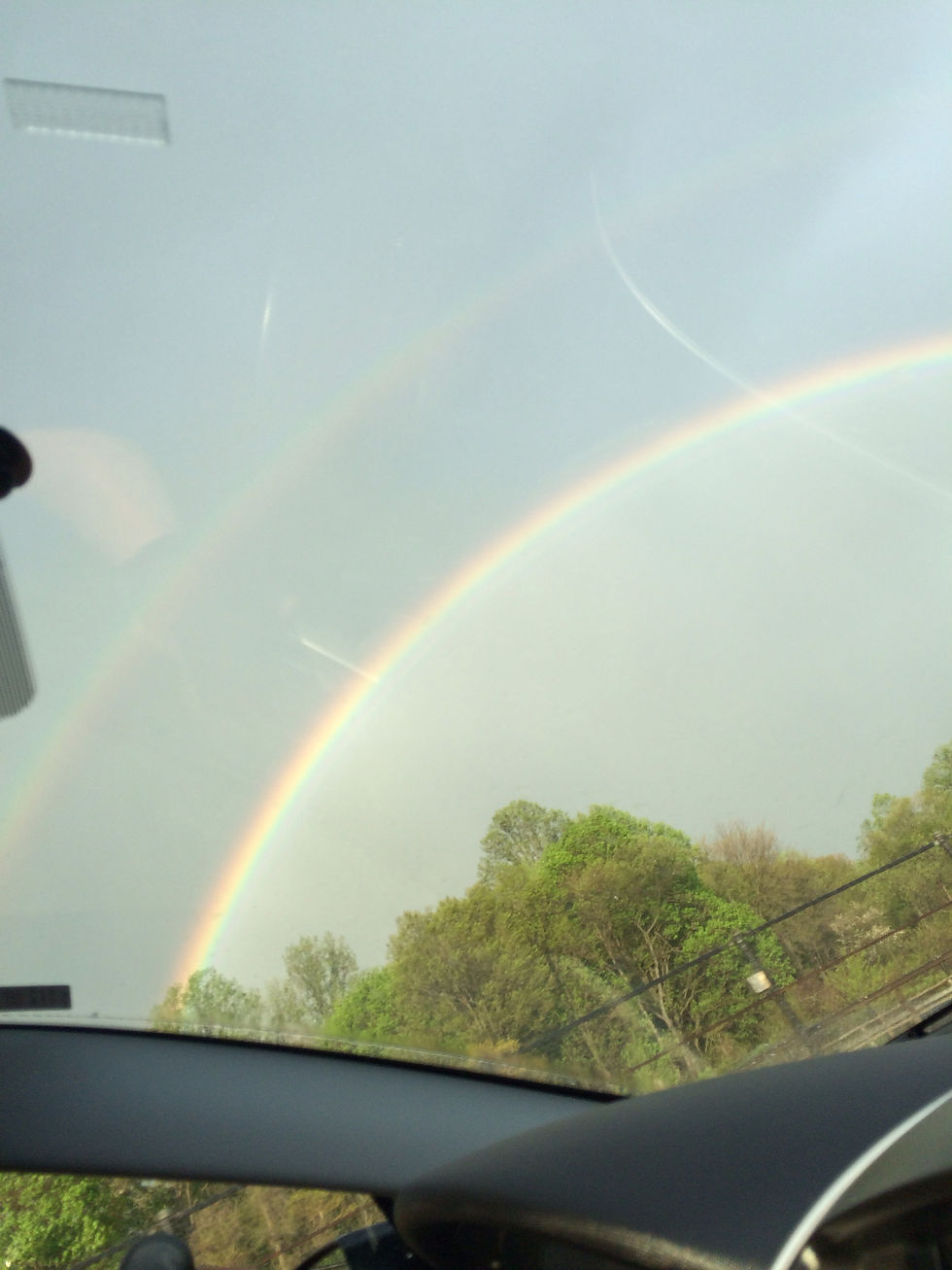 Jasmine Lomax | Gallery