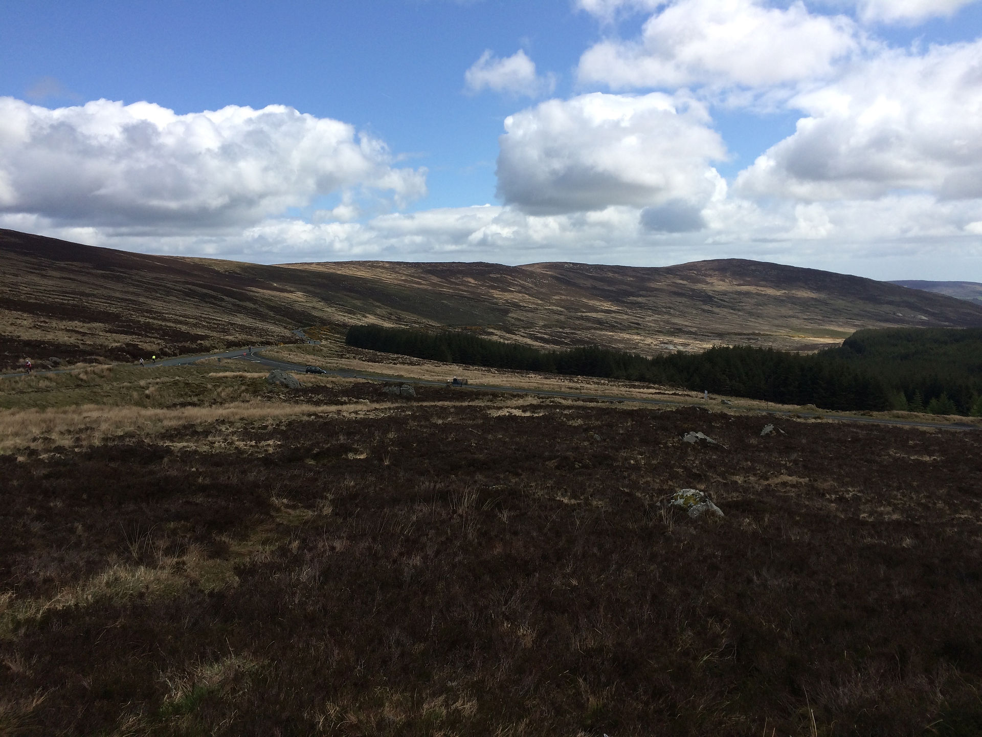 Projects | Jasmine Lomax