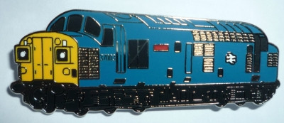 Class 37 Badge (37003 - Tiger Moth) | The Class 37 LG