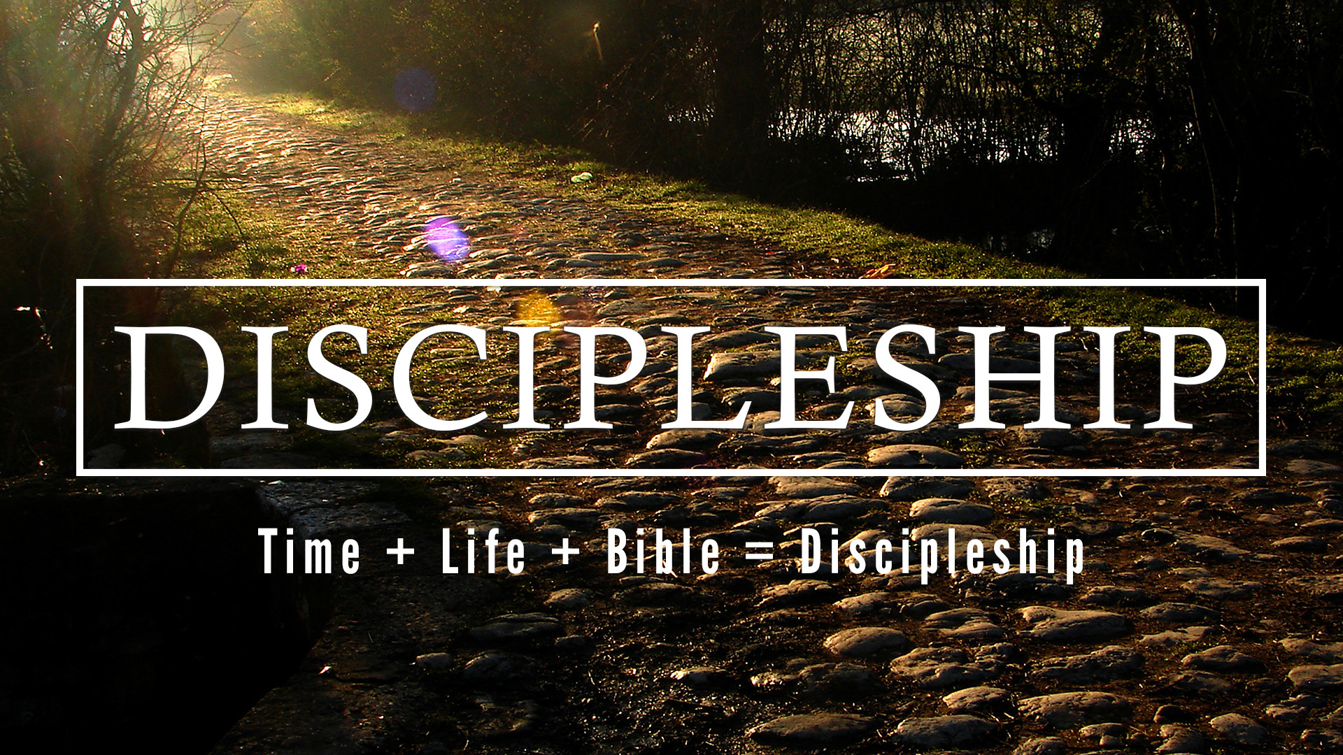 What type of disciple are you?