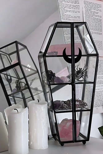 Coffin Inspired Multi Compartment Display Rack | Decorrizz India