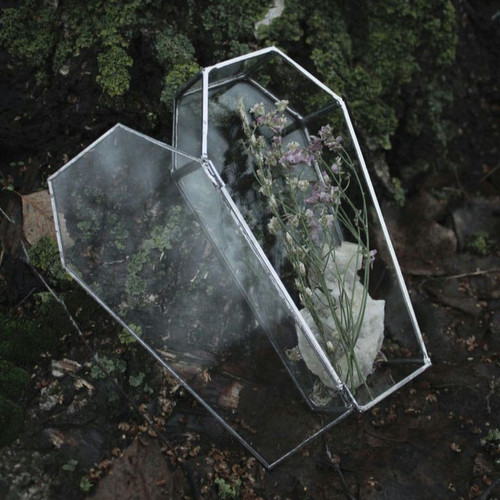 Coffin Inspired Clear Glass Display Case with Iron Detailing ...