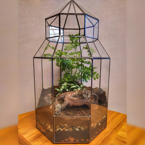 Clear Glass Castle Large Terrarium for Living Room | Huge Indoor ...