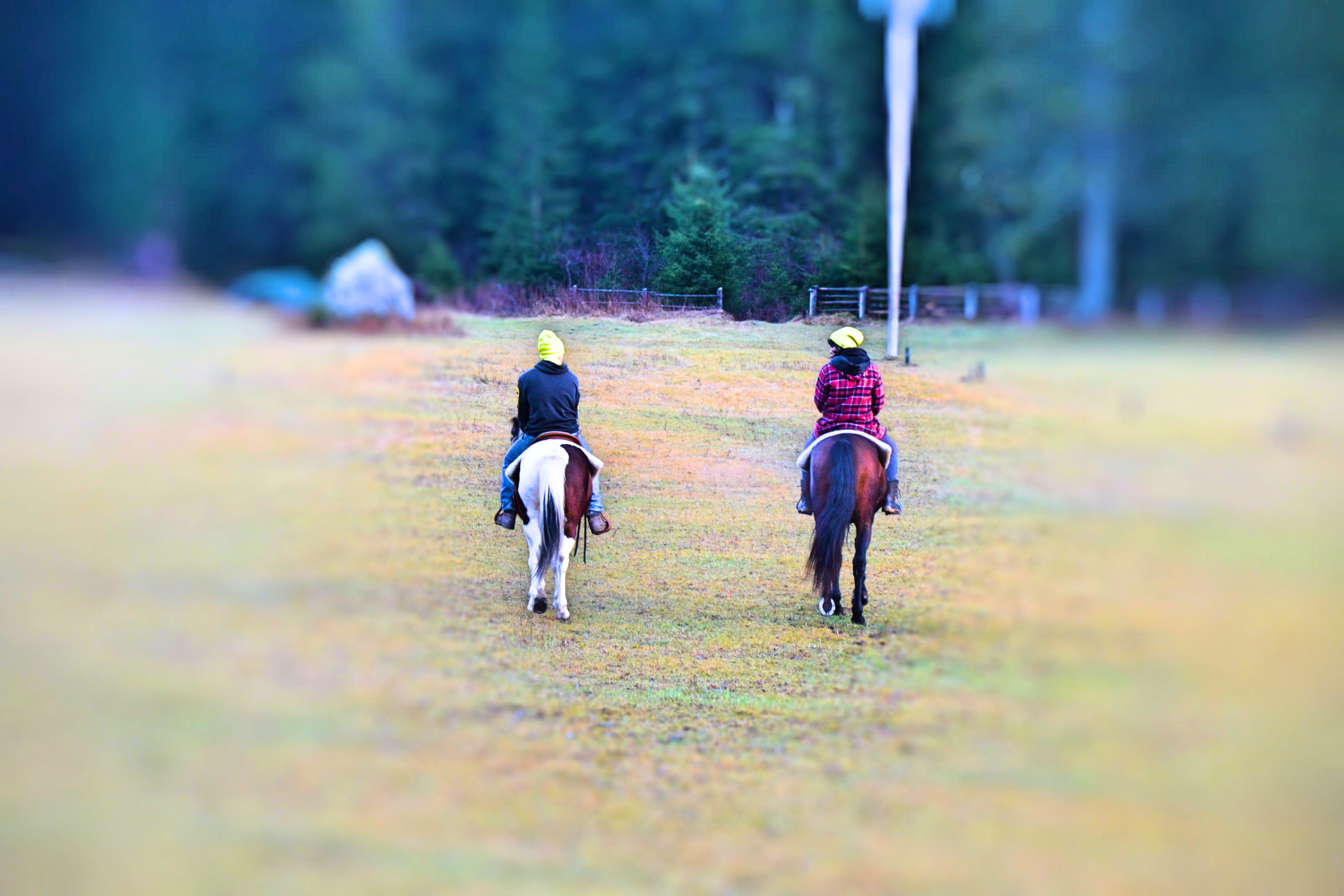 Charlotte Horse Riding DOLOMITES Italy, Horseback riding Campitello