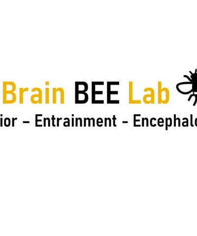 Brain BEE Lab | Victória A. Müller Ewald