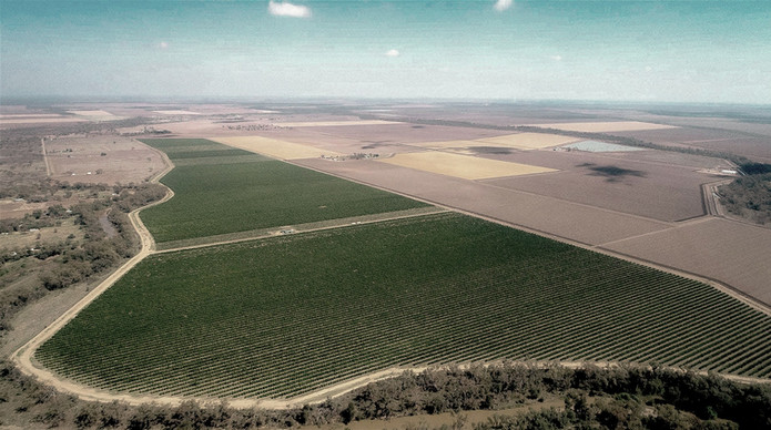 Careers | Vitonga Farms | Moree