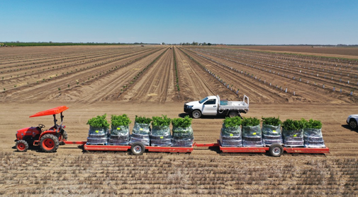 Careers | Vitonga Farms | Moree