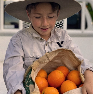 About | Vitonga Farms | Moree