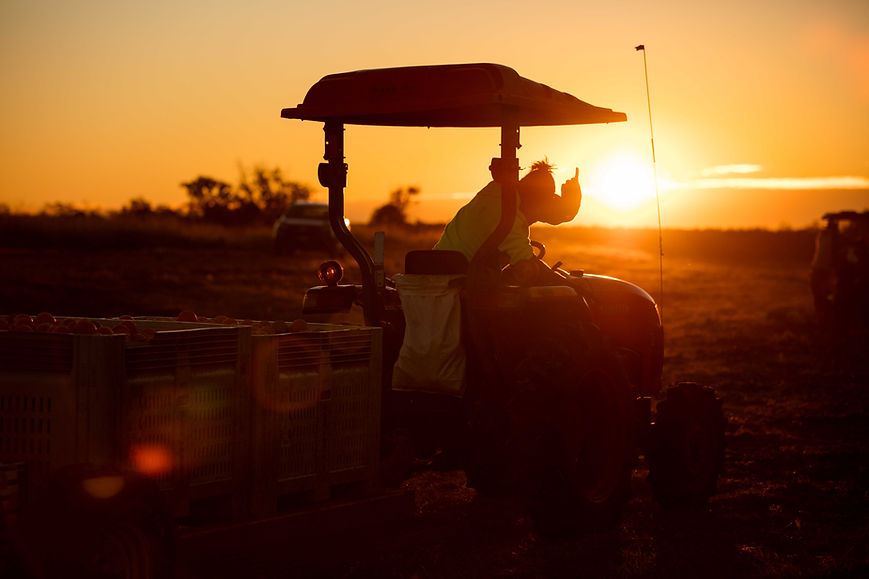 Contact | Vitonga Farms | Moree