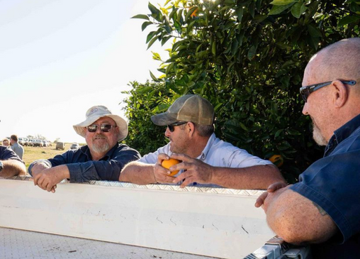 Careers | Vitonga Farms | Moree