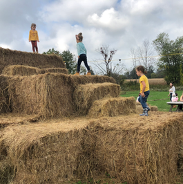 Field Trips | Tabora Farms