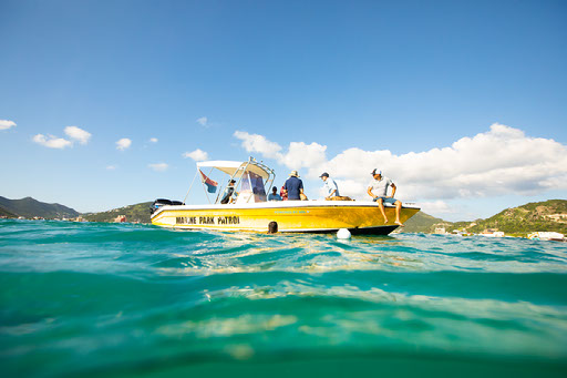 Uncovering the Power of Biomimicry and Nanotechnology in Coral Reef ...