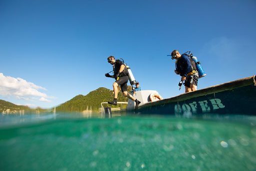Uncovering the Power of Biomimicry and Nanotechnology in Coral Reef ...