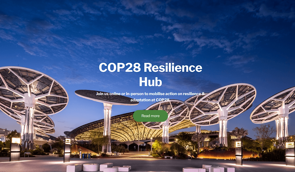 COP28 Ocean Art Extravaganza: Selva Ozelli's 'Healing Waters' & 'Orcas ...