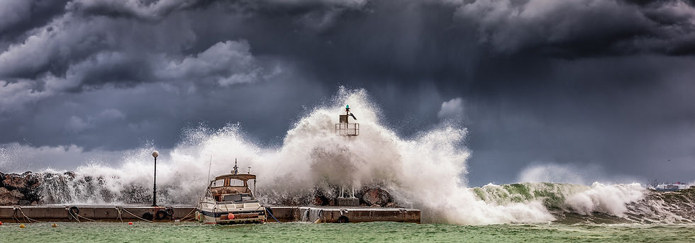Uncovering the Power of Biomimicry and Nanotechnology in Coral Reef ...