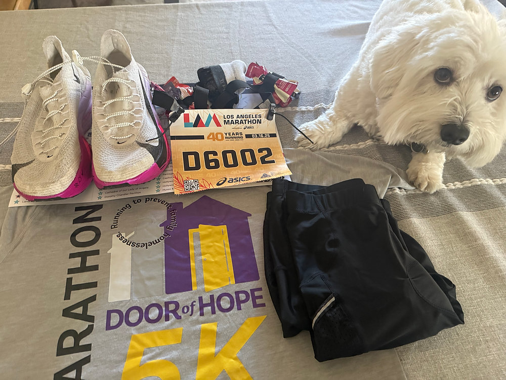 23 Months | Turning 41 | LA Marathon