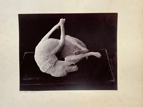 Giorgio Sommer, Impronte cane - Pompeii | 1st ANTIQUES