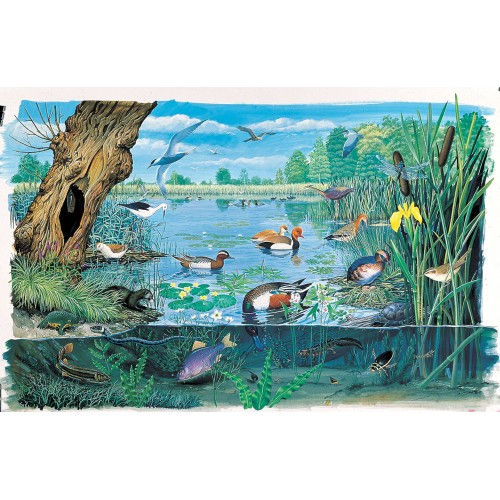 Ponds and Lakes 1000 Piece Jigsaw Puzzle | Mythic Realm