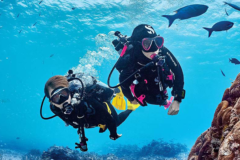 Home | dive-into-the-pink