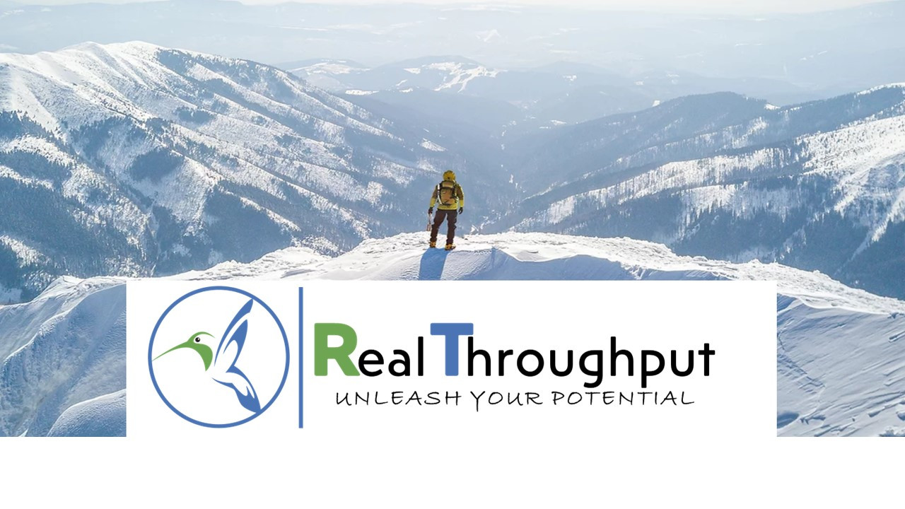 Financial Throughput & Operations Planning | Economics