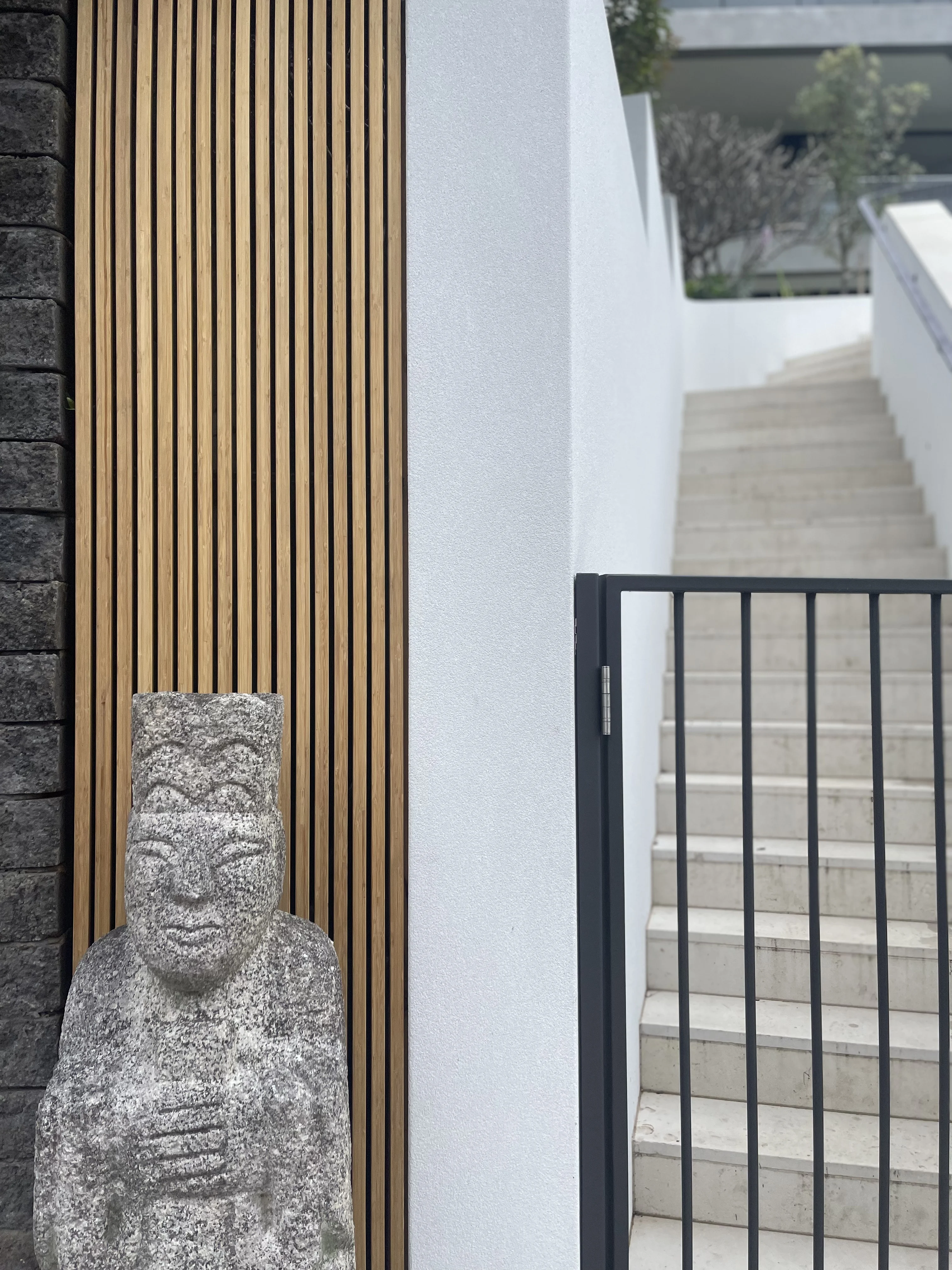 Services | DR. RENDER