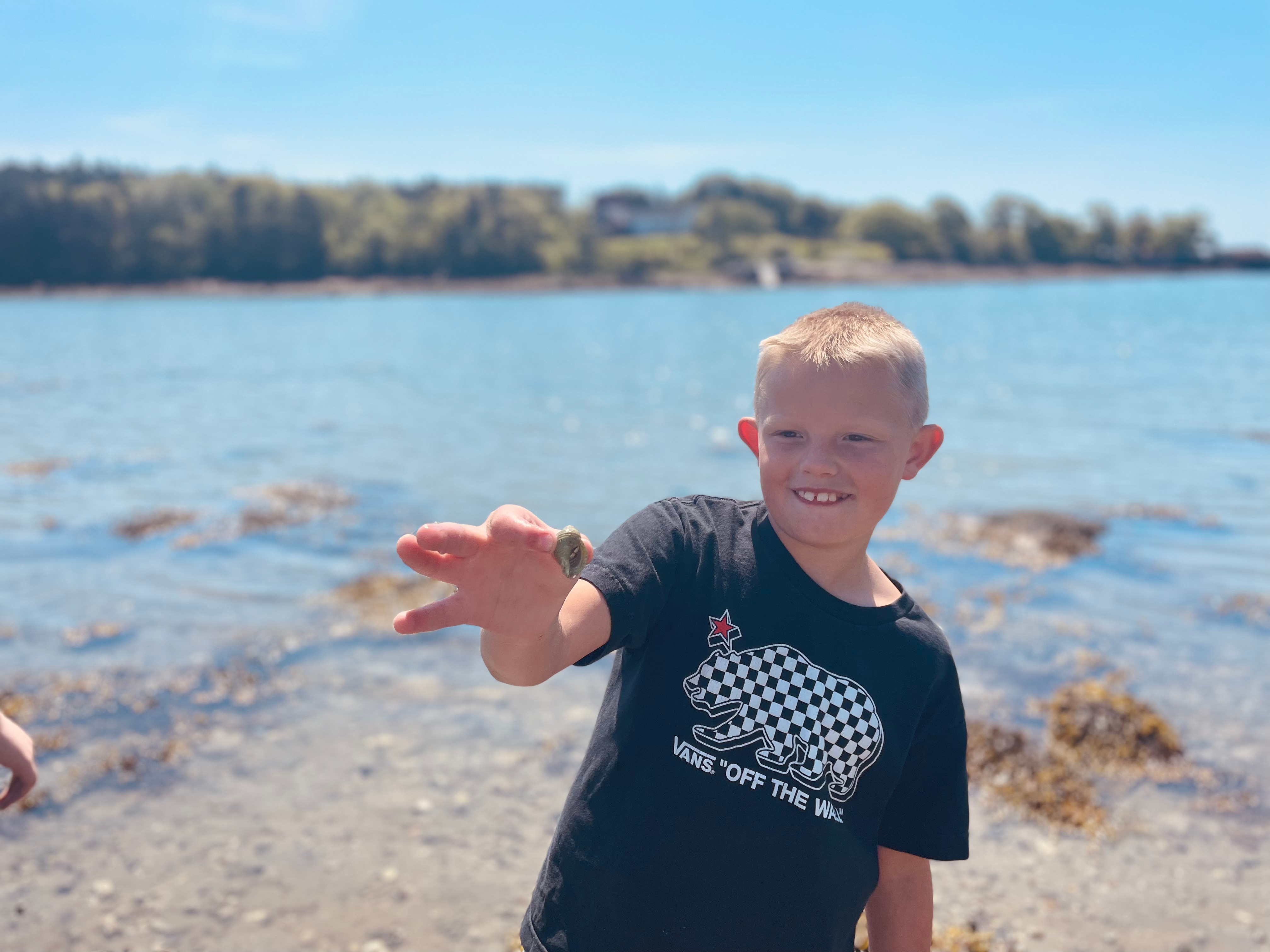 Challenges and Adaptations