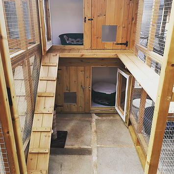 Cattery | Www.alderminsterkennelsandcattery.co.uk | Alderminster