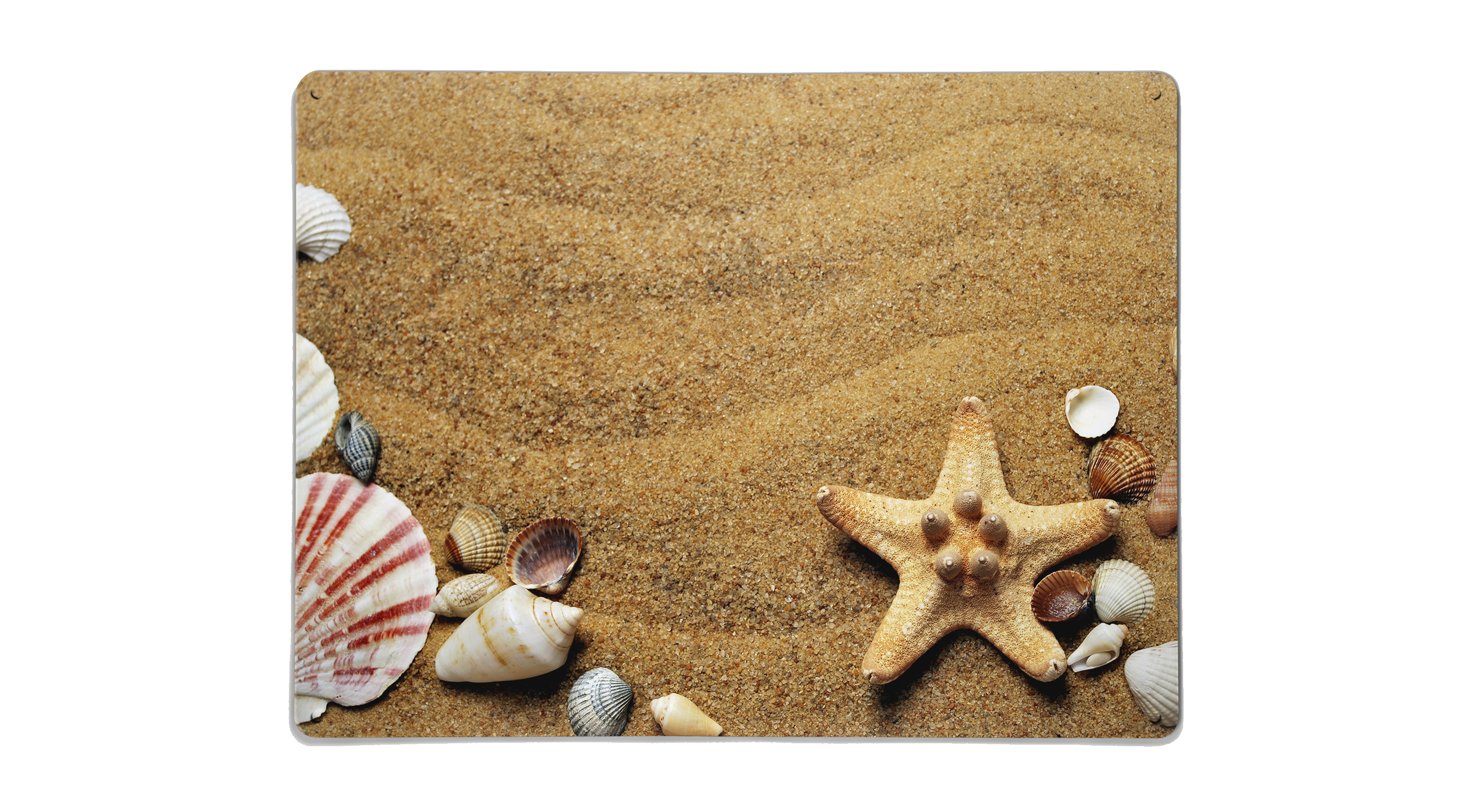 Magnetic Wall Art Panels Design Collections | Beyond the Fridge