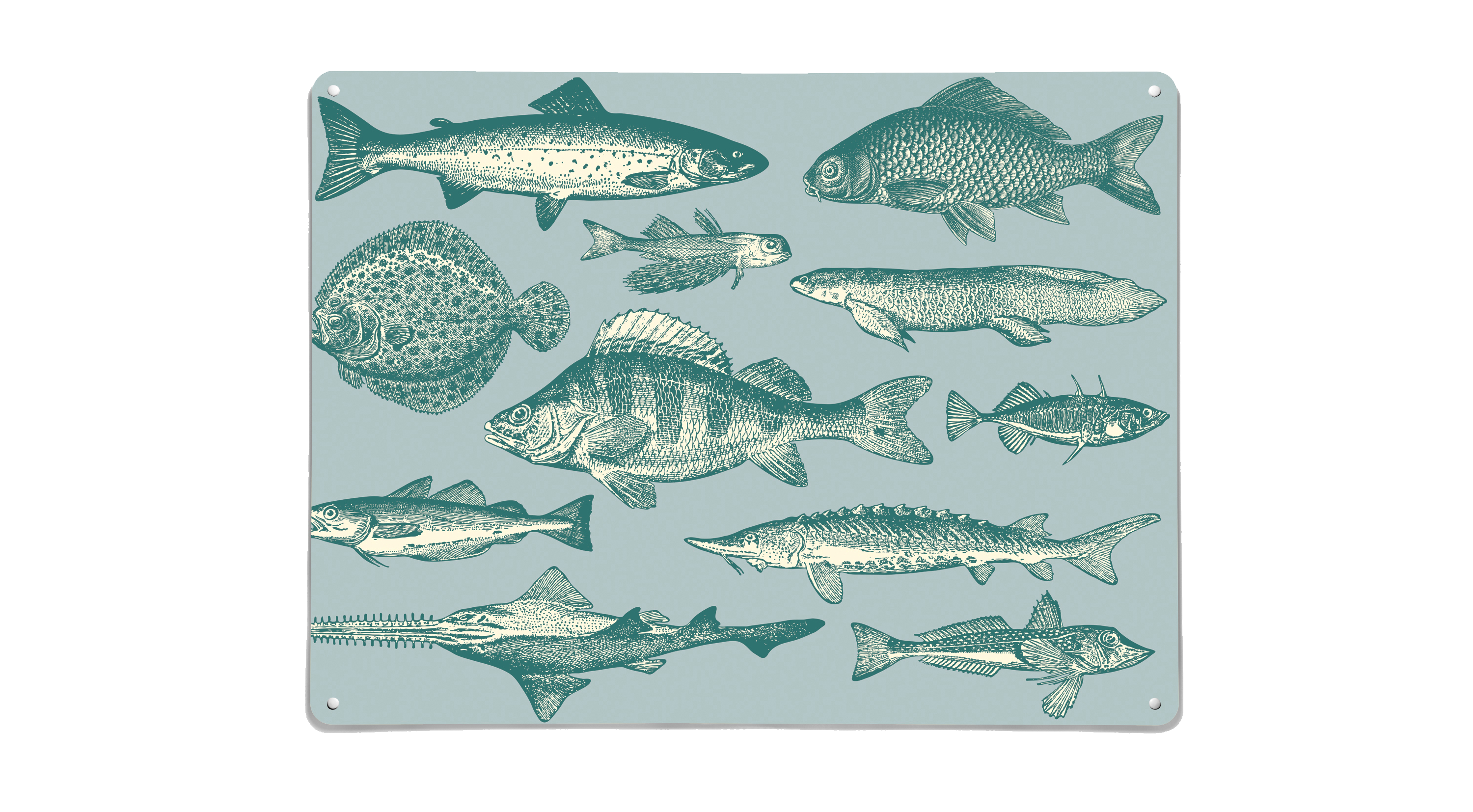 Magnetic Wall Art Panels Design Collections | Beyond the Fridge