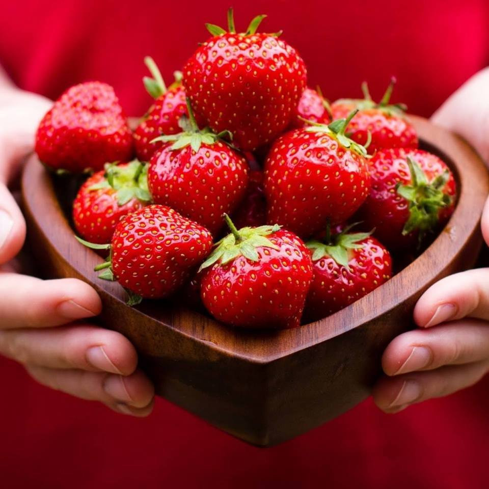 Home | My Fruit Truck