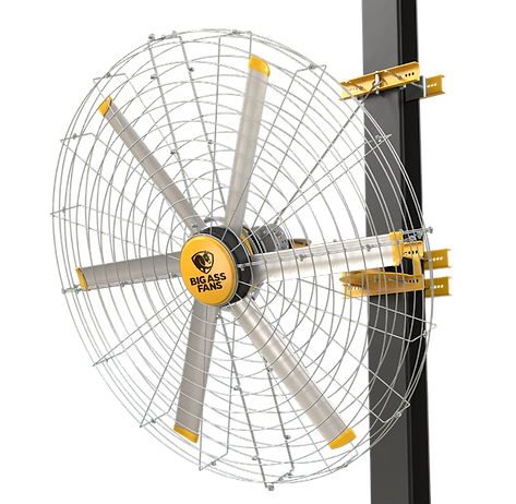 PHYLUX- Distributor of Haiku fans