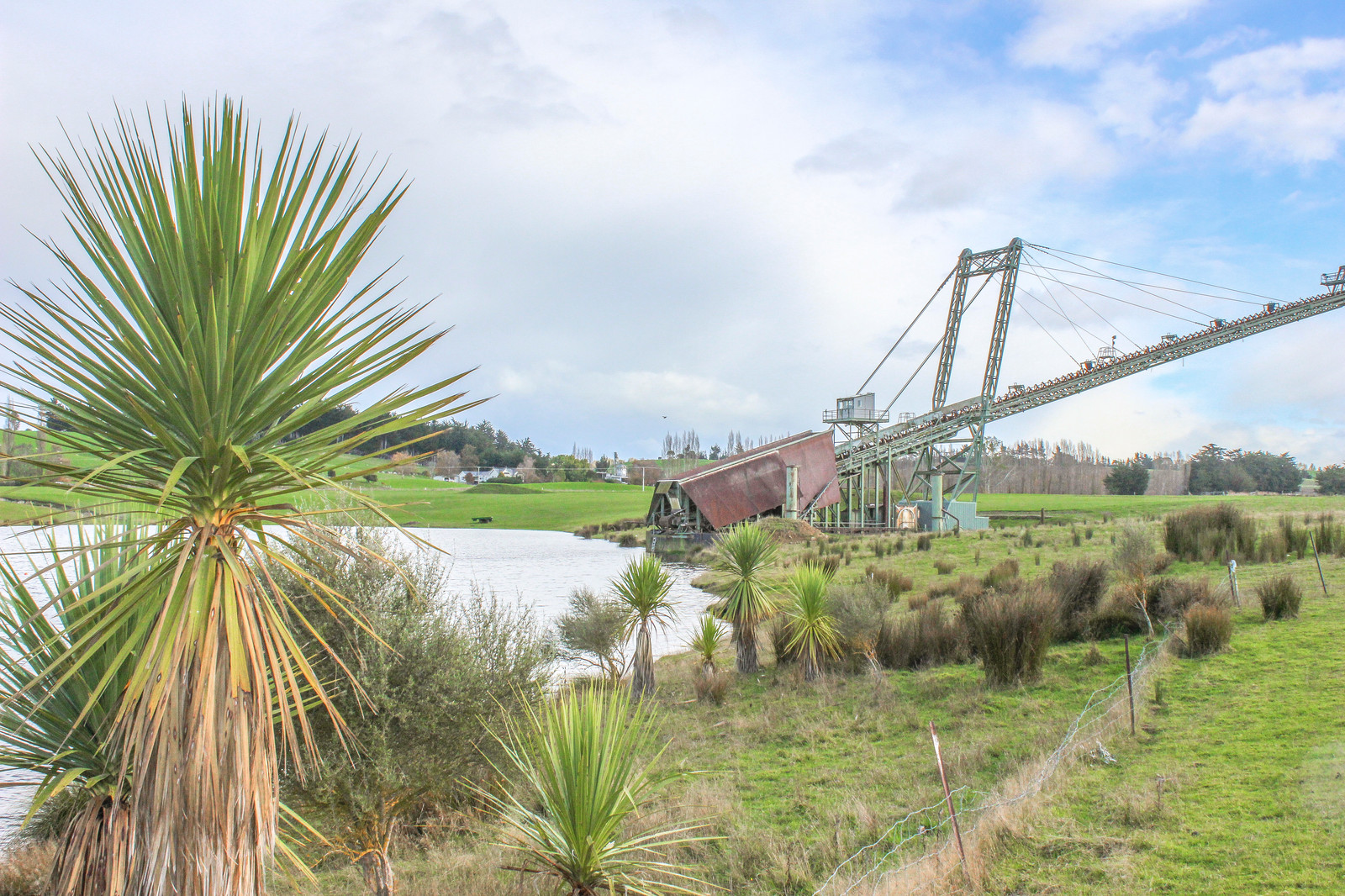 Waikaka Mine Restoration | Southland | Landscape architecture