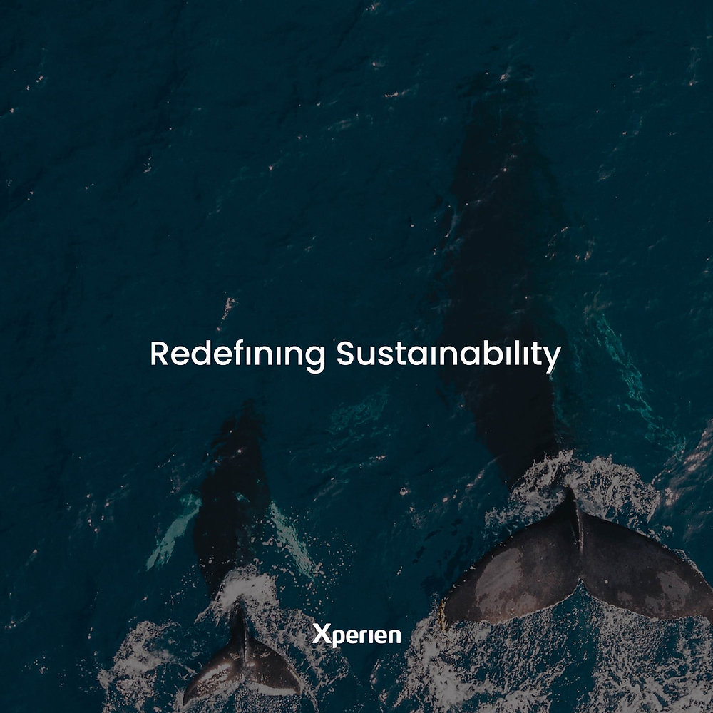 Xperien launches first shredder truck in Africa