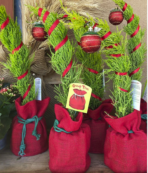Trader Joe’s Grinchmas Trees Will Make Your Heart Go Bigger!