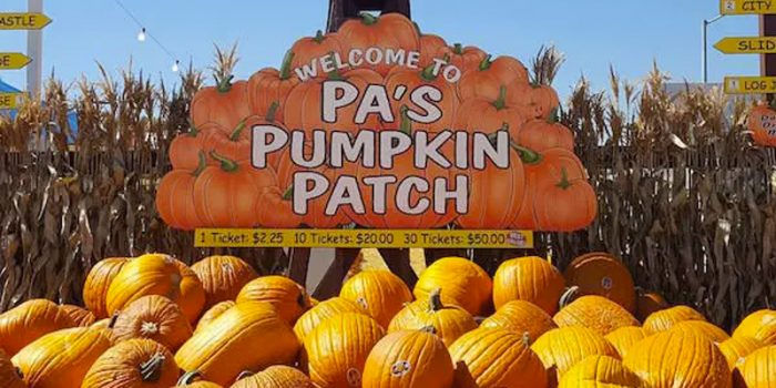Pa's Pumpkin Patch 2024 | FUN WITH KIDS IN LA