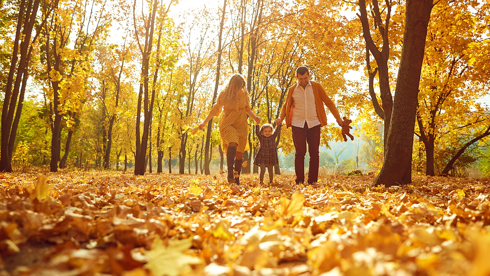 Best Places to See Fall Foliage Near Los Angeles | FUN WITH KIDS IN LA®