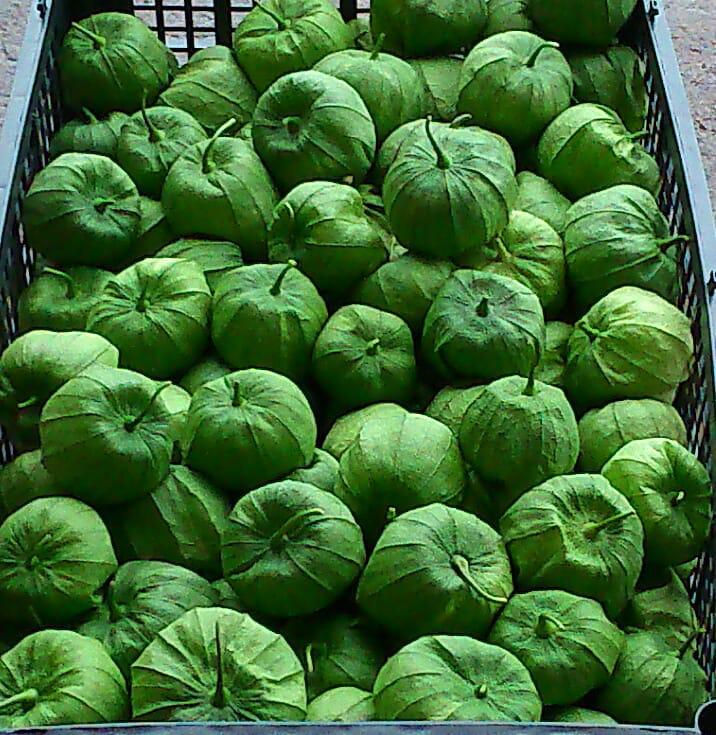 Home | www.amoreproduce.com | Fresh Produce | McAllen, TX.