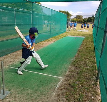 Table View Primary School | CRICKET