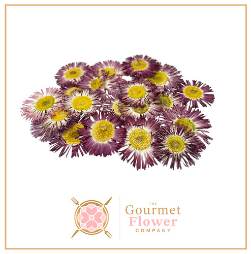 Bellis Dasies- Pressed Edible Flowers 20pcs | GFC