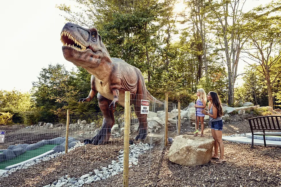 Construction Photos | Raptor Falls Mini Golf & Ice Cream