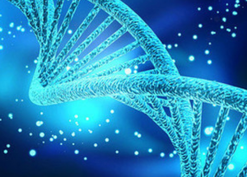 SUPER DNA | ROSE LIGHT