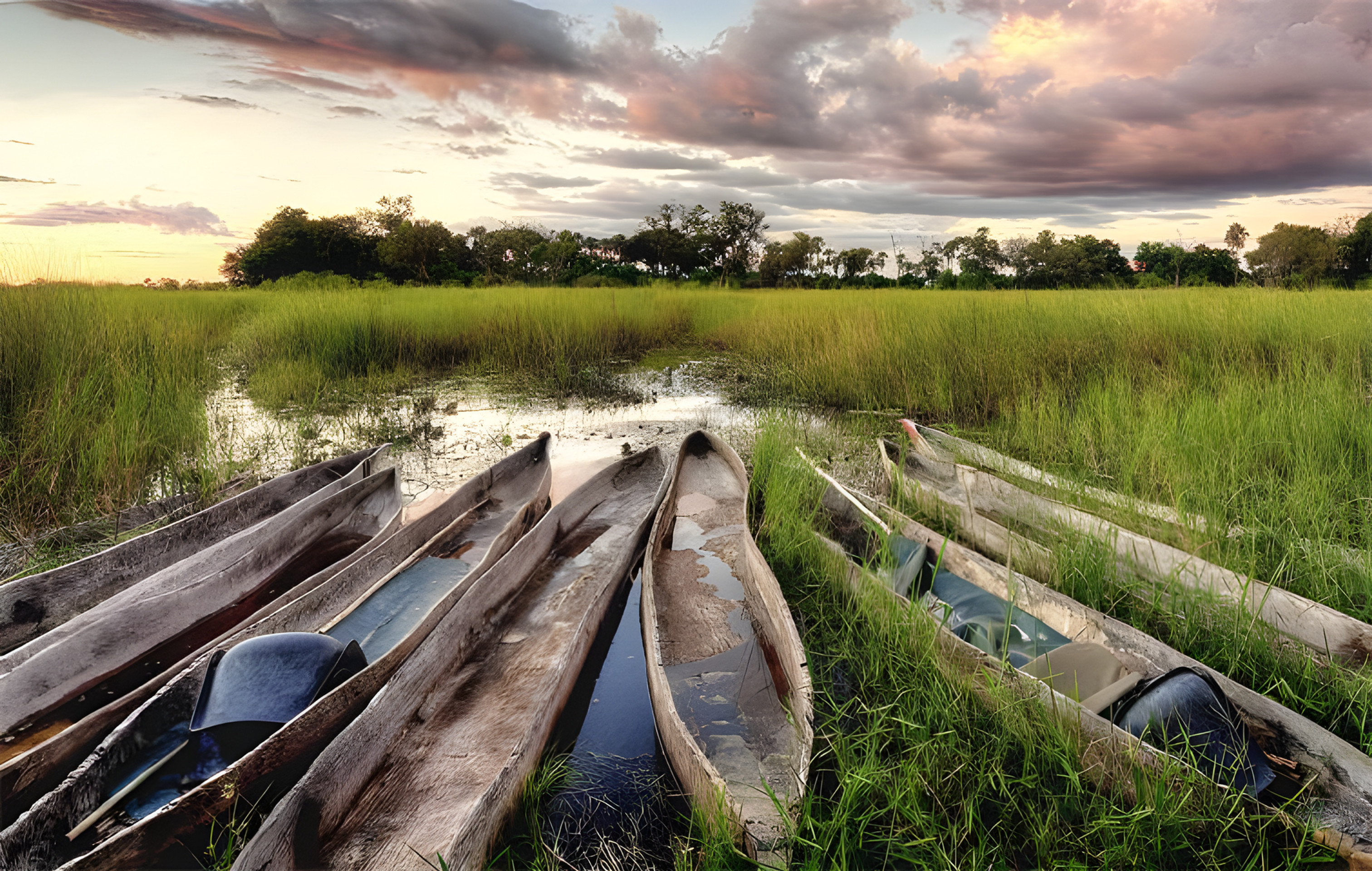 Botswana | Briggate Travel