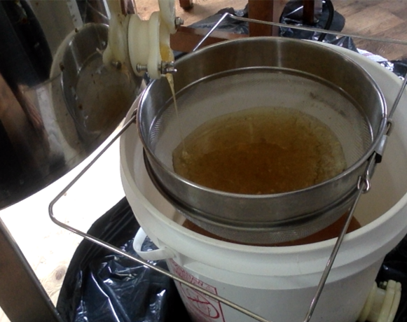 The Sweet Journey of Honey Extraction: From Our Hives to Your Home