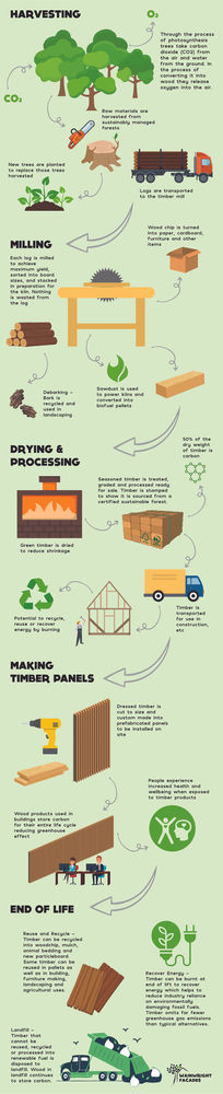 Timber Production Process