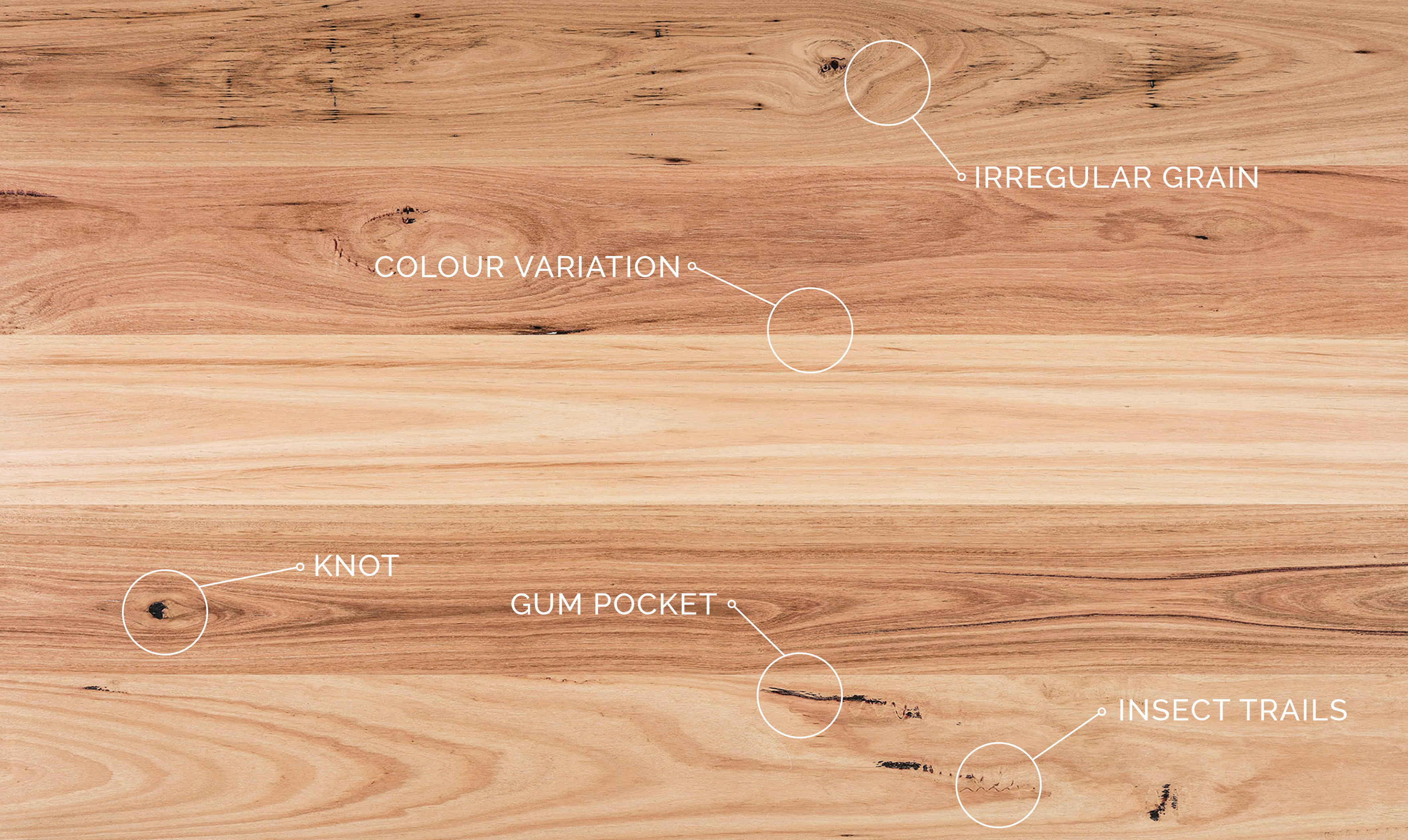 Characteristics of Timber