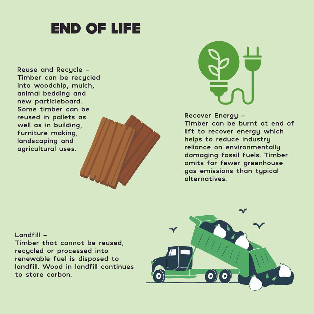 Timber Production Process