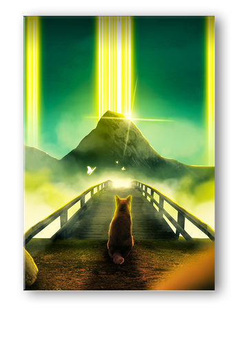 Cat's Curious Journey Poster | Chromaplate