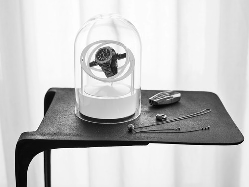 The Swan - 989800 | Bernard Favre