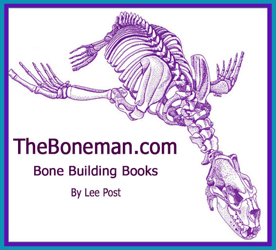 How to Clean Bones and Assemble Animal Skeletons | TheBoneman.com